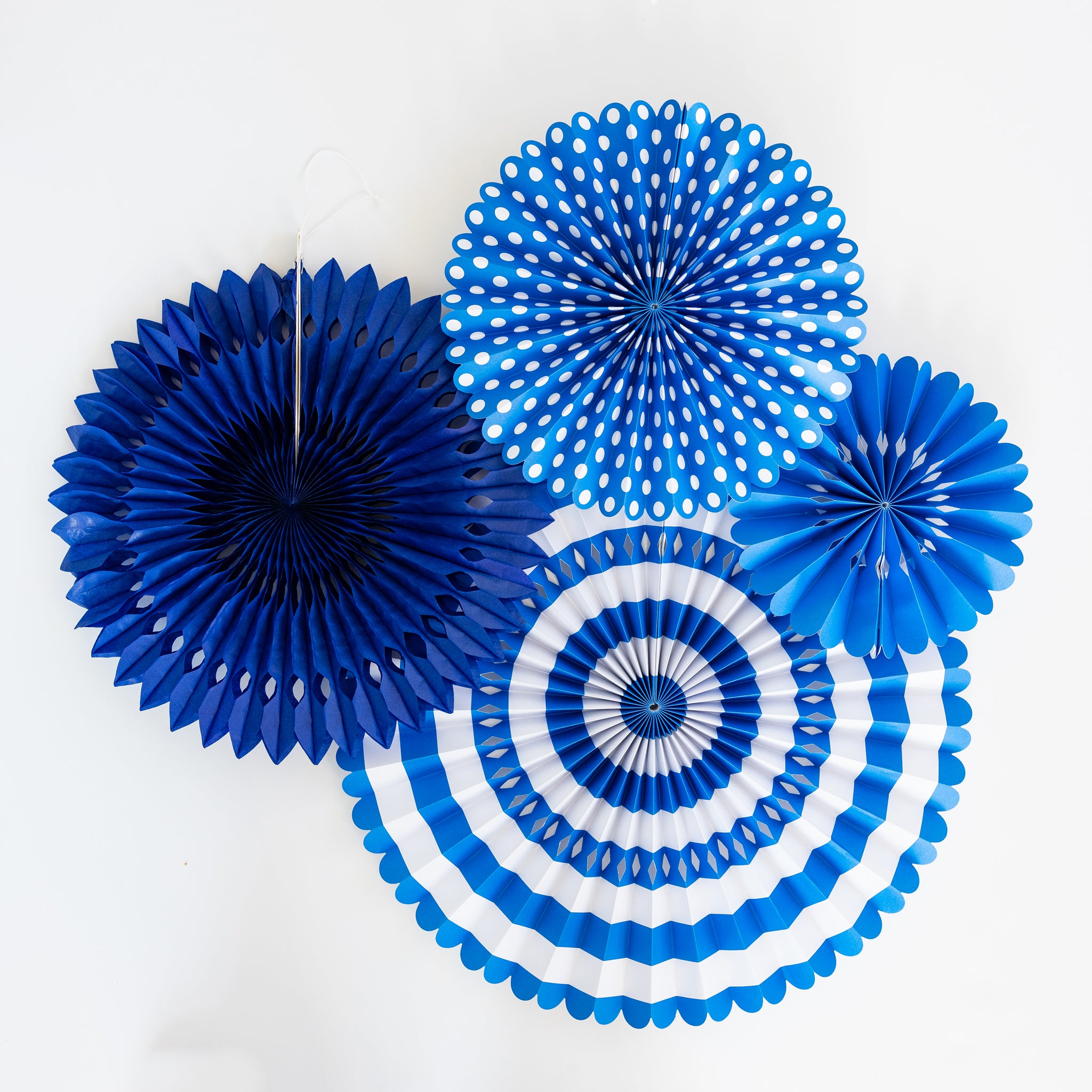 Blue and White Party Fan Set.